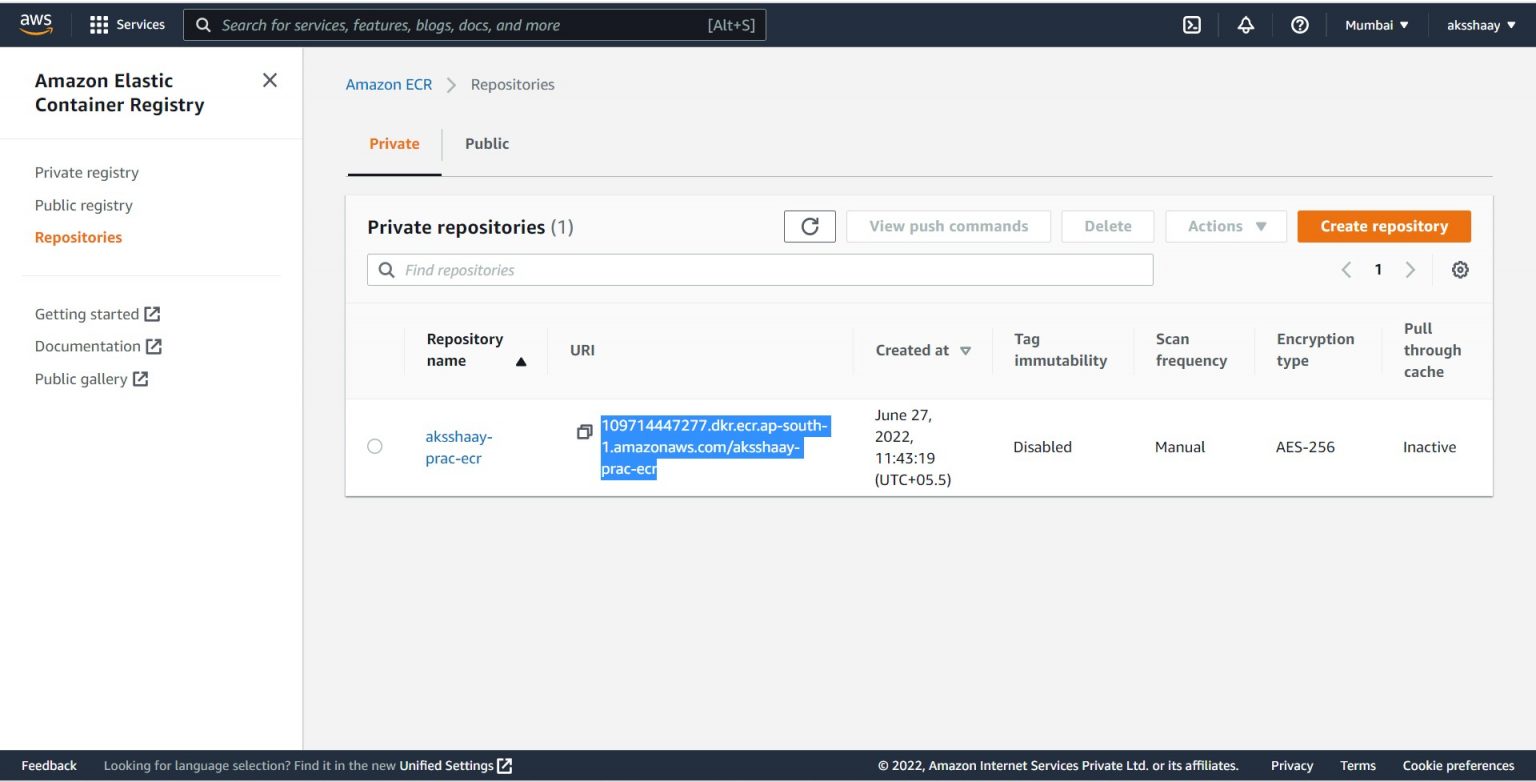 How to Build a Docker Image and Push it To AWS ECR?