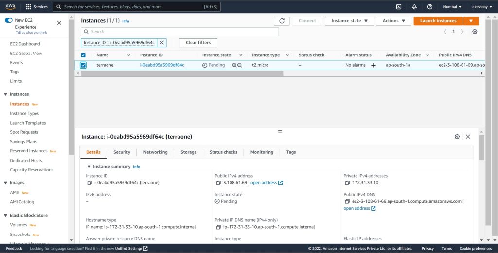 Deploy AWS ec2 Instance using Terraform