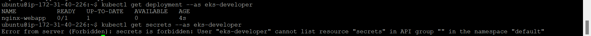 RBAC access for an IAM user in EKS cluster